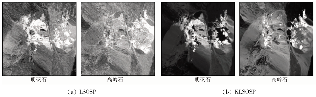 基于核方法的高光谱遥感图像混合像元分解